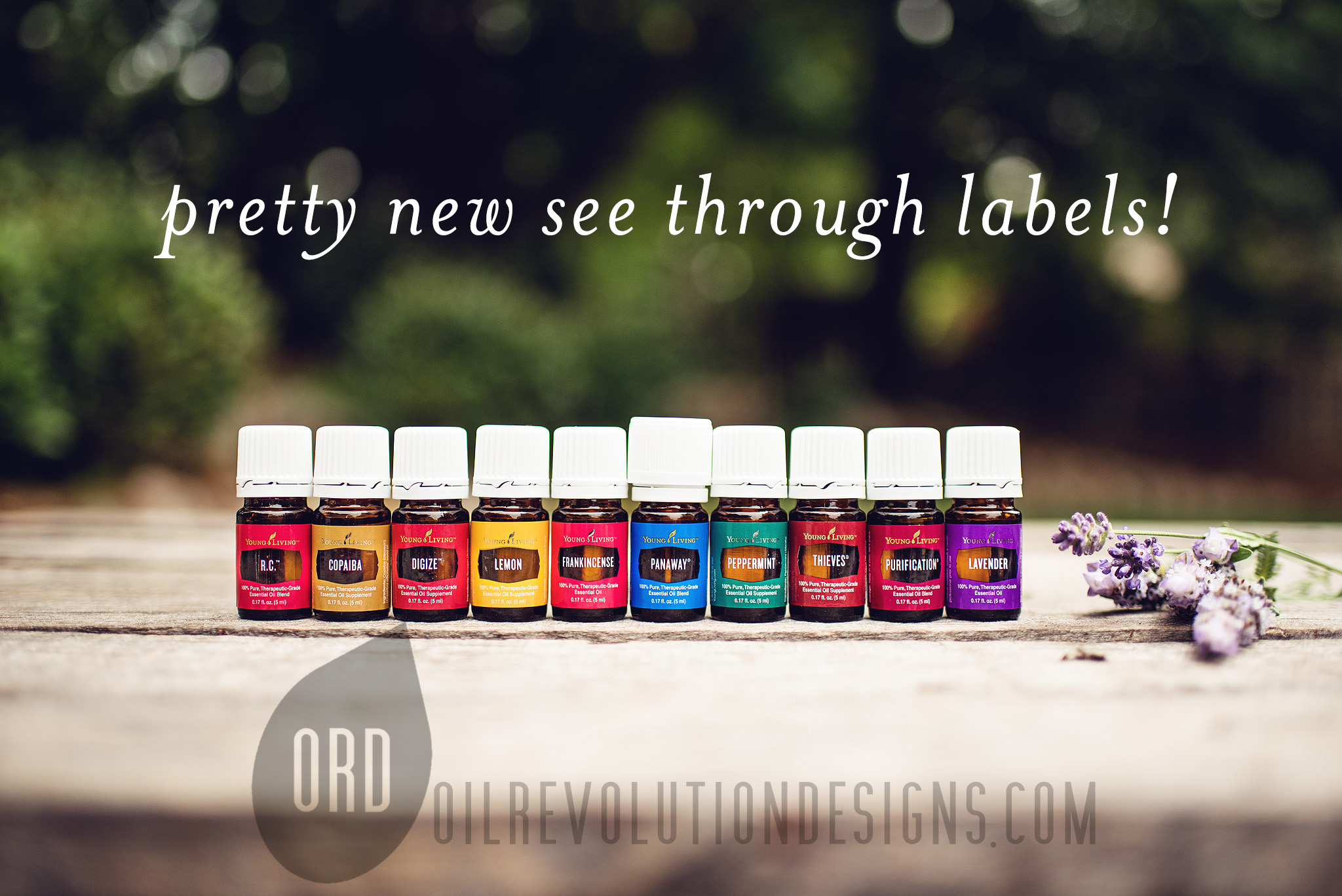 The new look of the PSK - Oil Revolution Designs