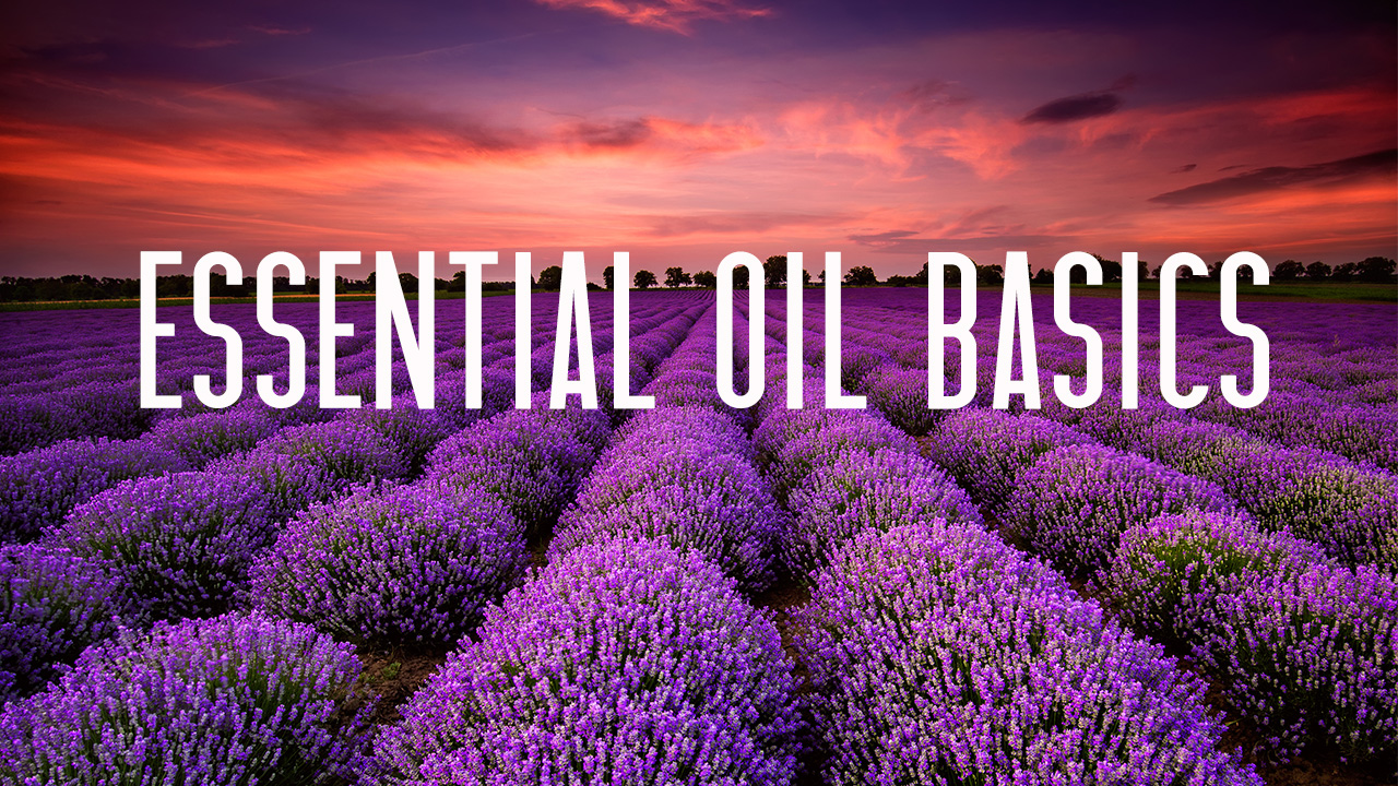Basics Class - Oil Revolution Designs